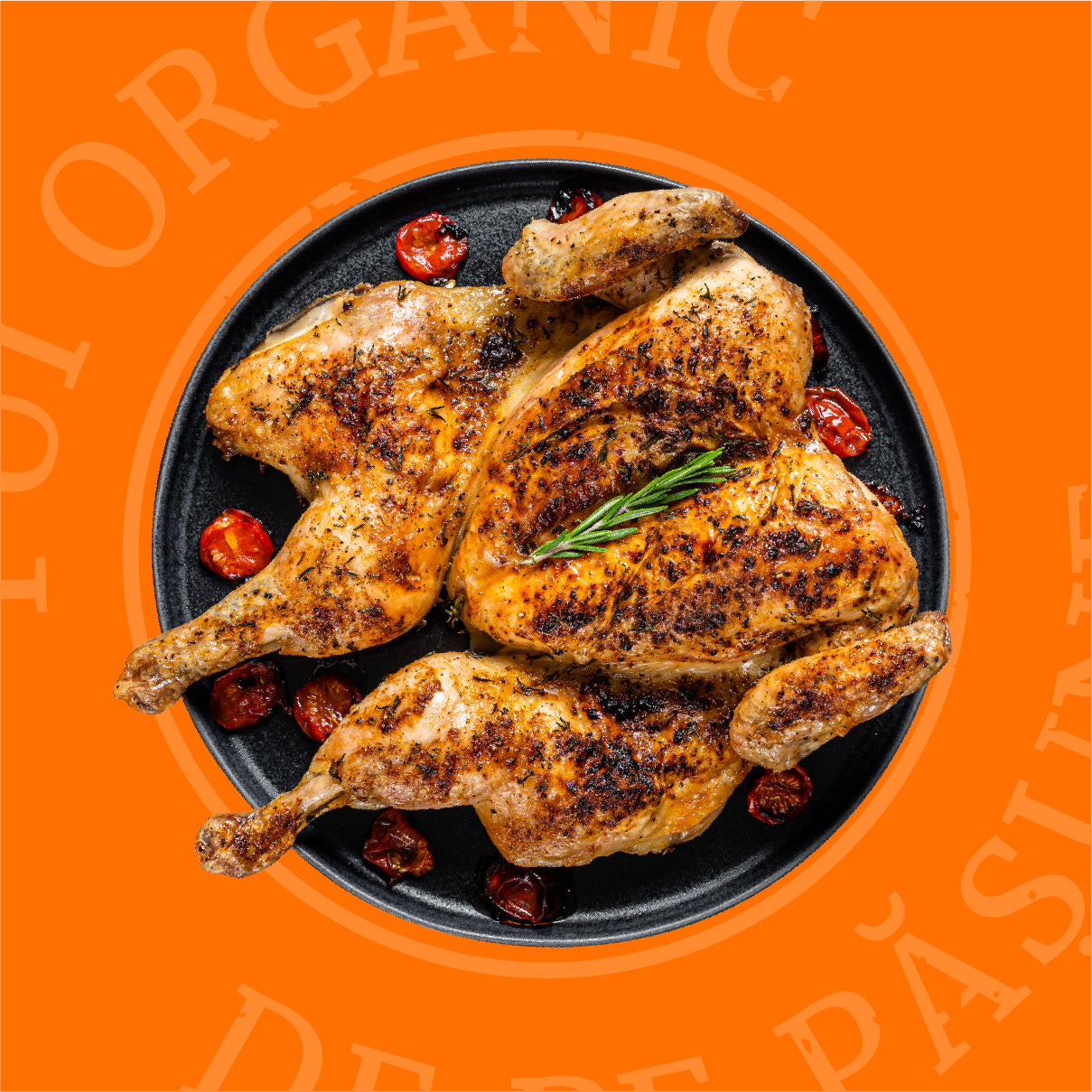 Ferma Pui, Pui! | Carne de pui, direct de pe pășune